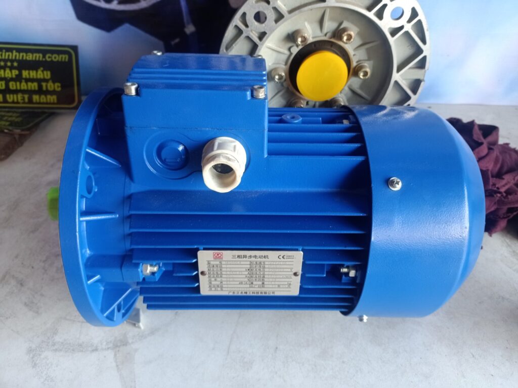 Motor Điện 1 Pha 3HP 2.2Kw (Động Cơ Điện 1 Pha 3 Ngựa 2200w 220v) - ĐẠI ...